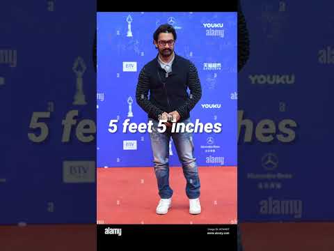 Bollywood celebrities and there height / Top 5 Bollywood actors and height | #sharukhkhan #jawan