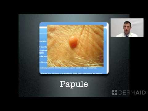 Dermatology Terms