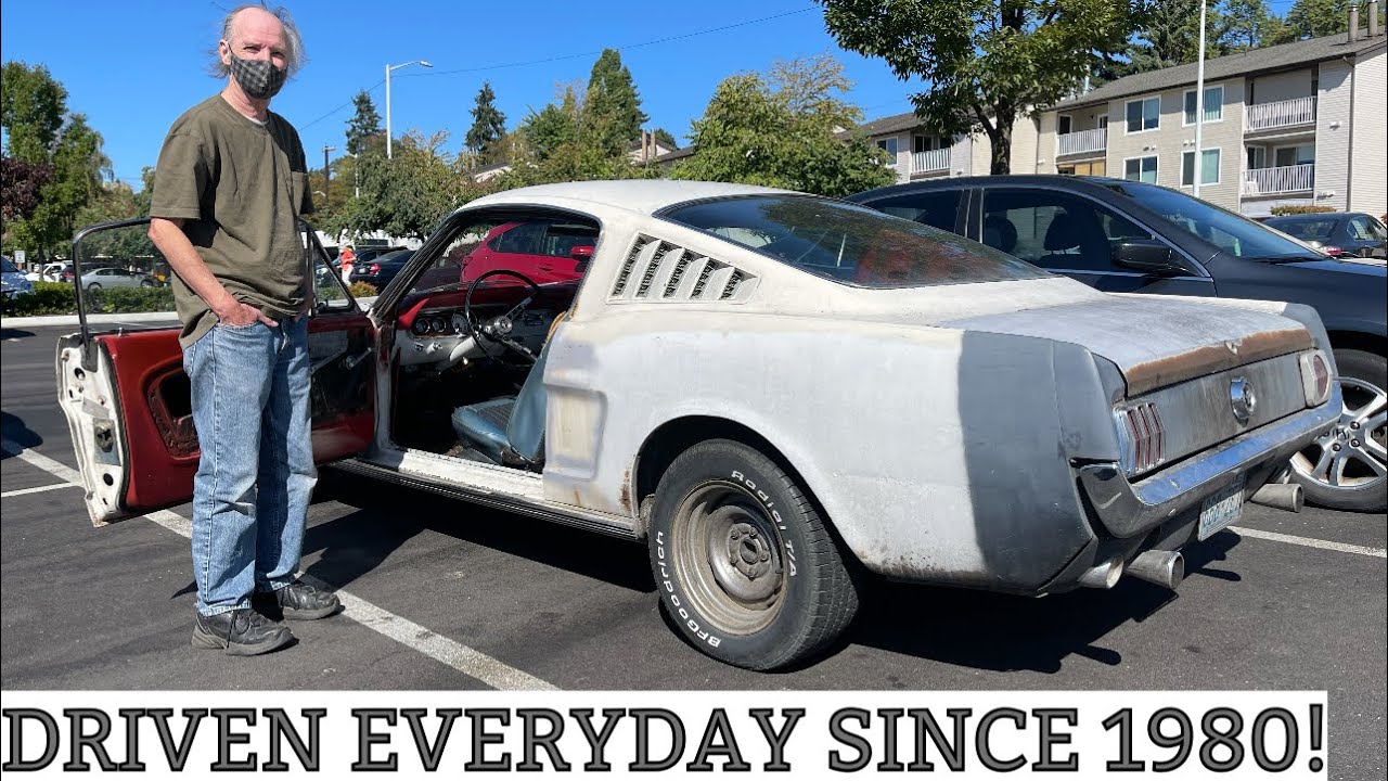 MUSCLE| DAILY DRIVEN since 1980: 1965 Mustang fastback!
