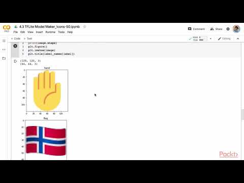 Learn Hands On Transfer Learning with TensorFlow 2 0 TensorFlow Lite Model Maker | packtpub com ...