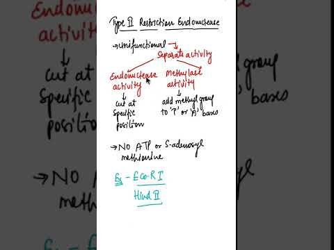 Type II Restriction Enzyme/Methylation by restriction enzyme #biologyshort #shorts