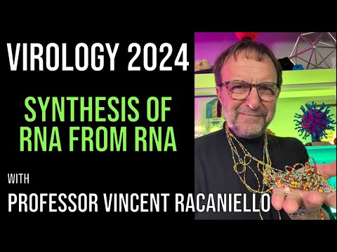 Virology Lectures 2024 #6: Synthesis of RNA from RNA