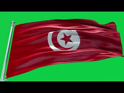 🚩Tunisia Flag Waving | GREEN SCREEN & CHROMA MATTE🚩