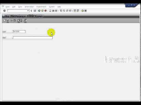 create parameter values to the users in sap