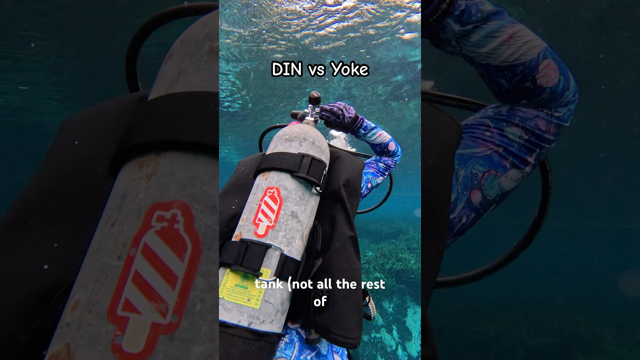 Two types of Scuba Regulators for recreational divers 🤿✌️ #scubagear #scubadiving #howthingswork