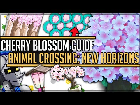 Cherry Blossom Event - All 14 Secret Items + How To Get Them - Animal Crossing: New Horizons! #acnh