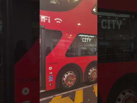 Cheapest transport from Melbourne Airport to City | Australia Travel tips| Melbourne Skybus Cost
