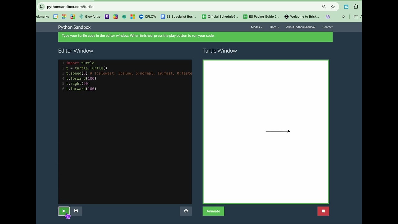 How to Save Your Python Turtle Project in Python Sandbox