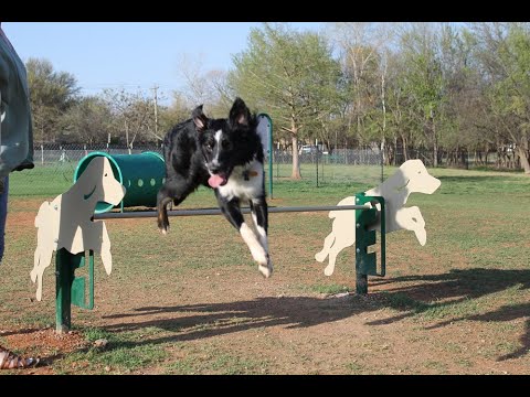 Edmond Dog Park Project- Edmond, OK