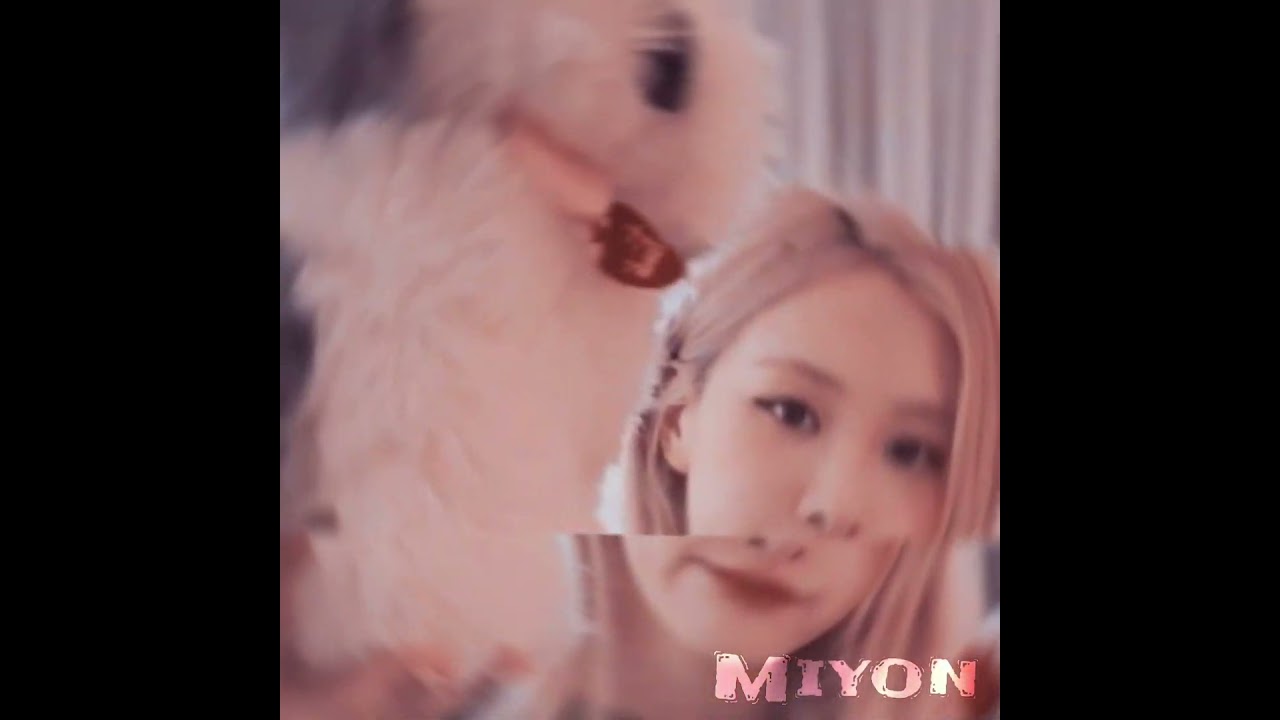 Share code edit basic code dưới phần bình luận