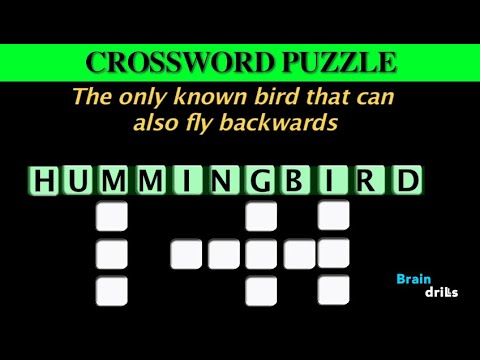 Animals Crossword Puzzles I GK I