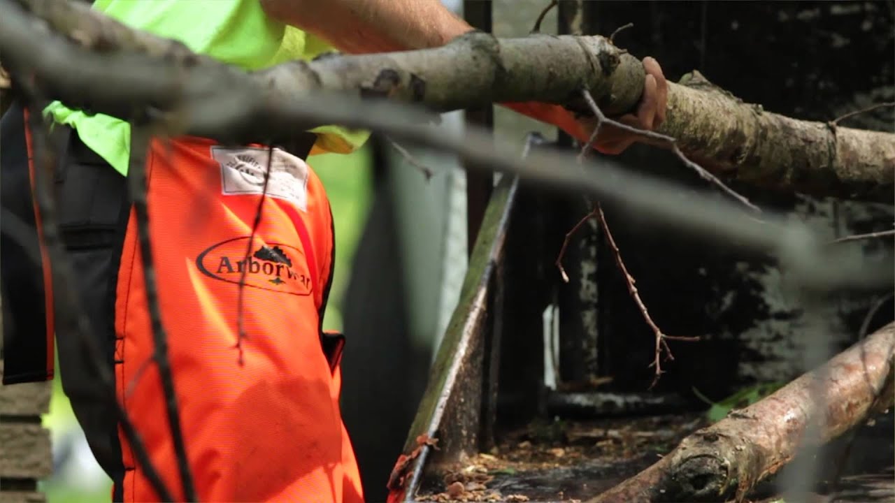 Life of an Arborist: Proper Gear for Tree Care