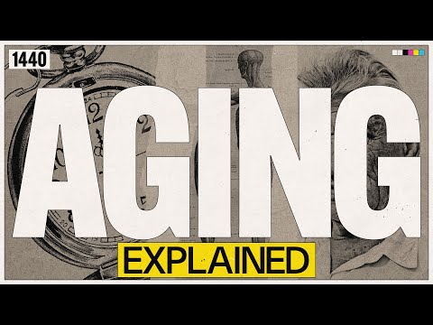 Aging Explained with Dr. Nick Golinvaux
