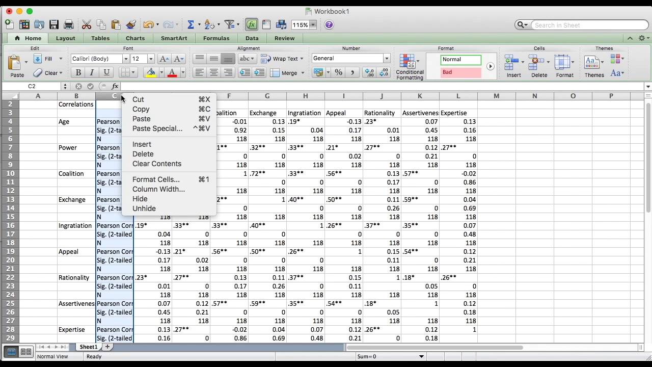 How to make a report-ready correlation matrix quickly using SPSS and Excel