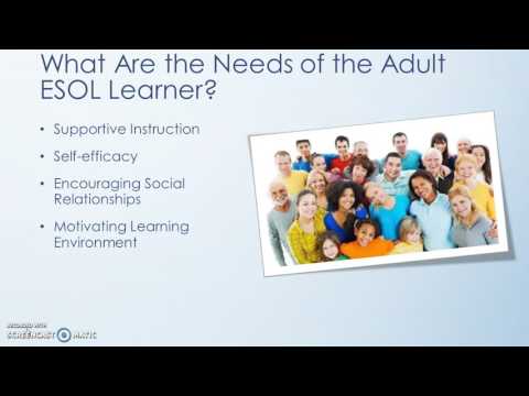 How can Duolingo Enable Adult ESOL Learners to Thrive Academically ...