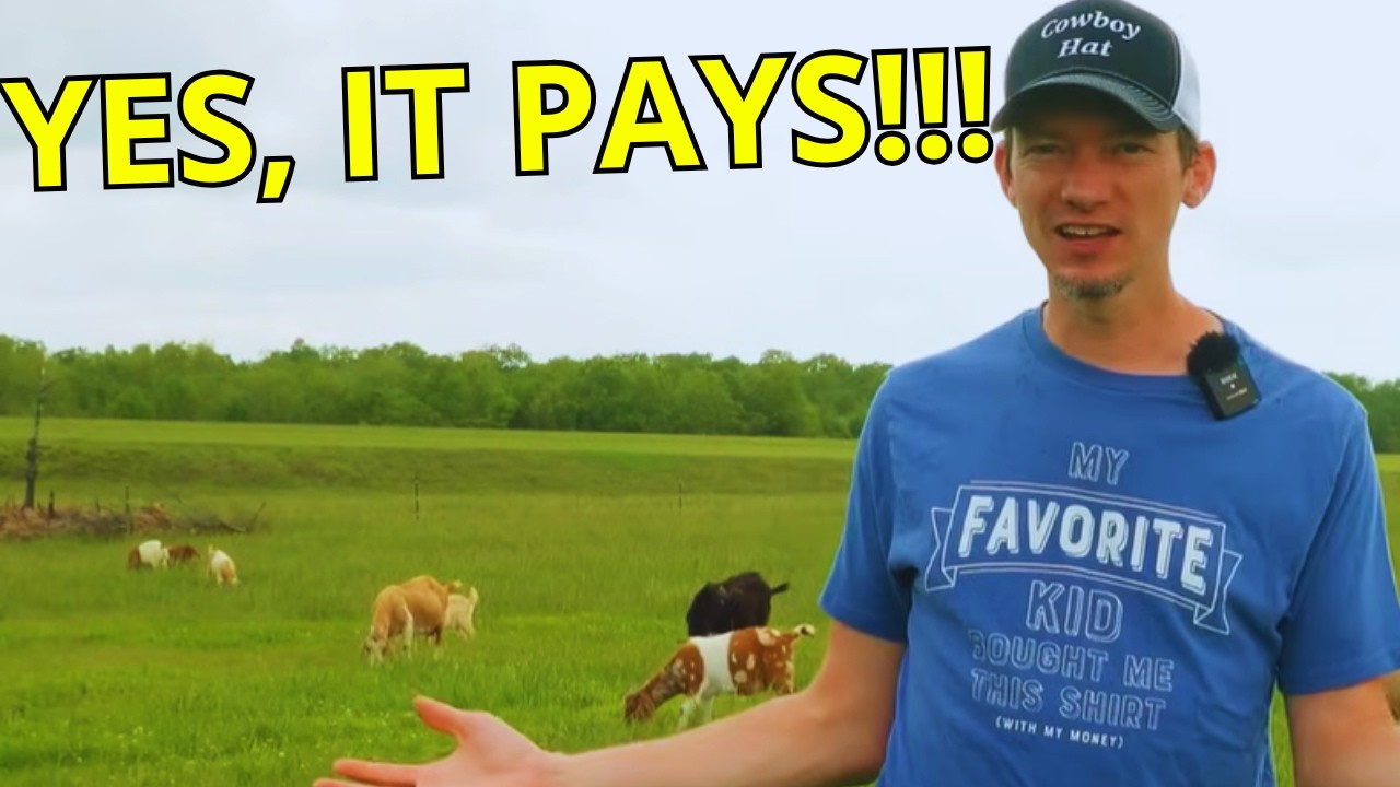 How To Make A Profit On A Small Scale Farm – 5 Things To Consider