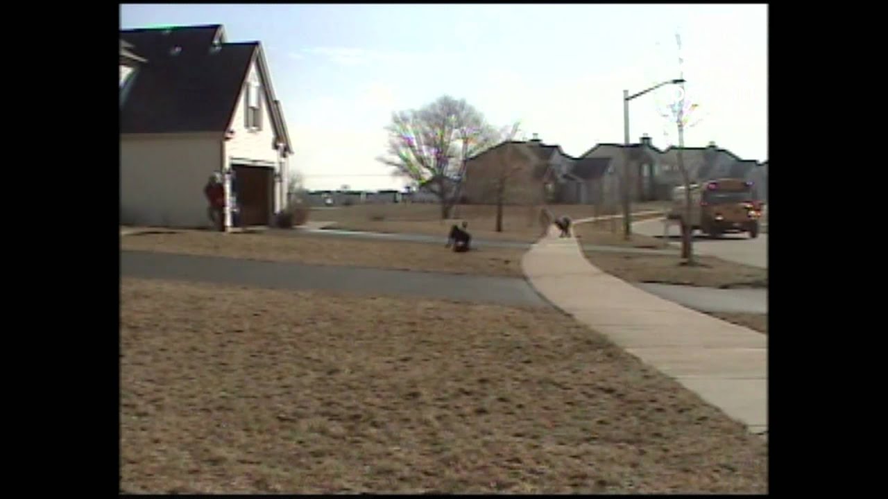 Patient Puppy Waits for the School Bus