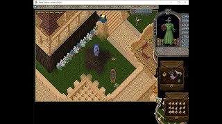Ultima Online Still Thriving More than 25 Years Later - Wing Commander CIC