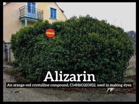 How to Say Alizarin in English? | What is Alizarin? | How Does Alizarin Look?