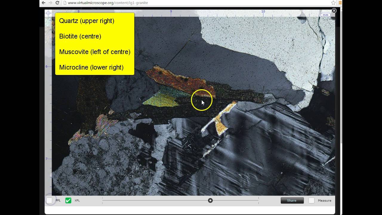Introduction to the Virtual Microscope 1