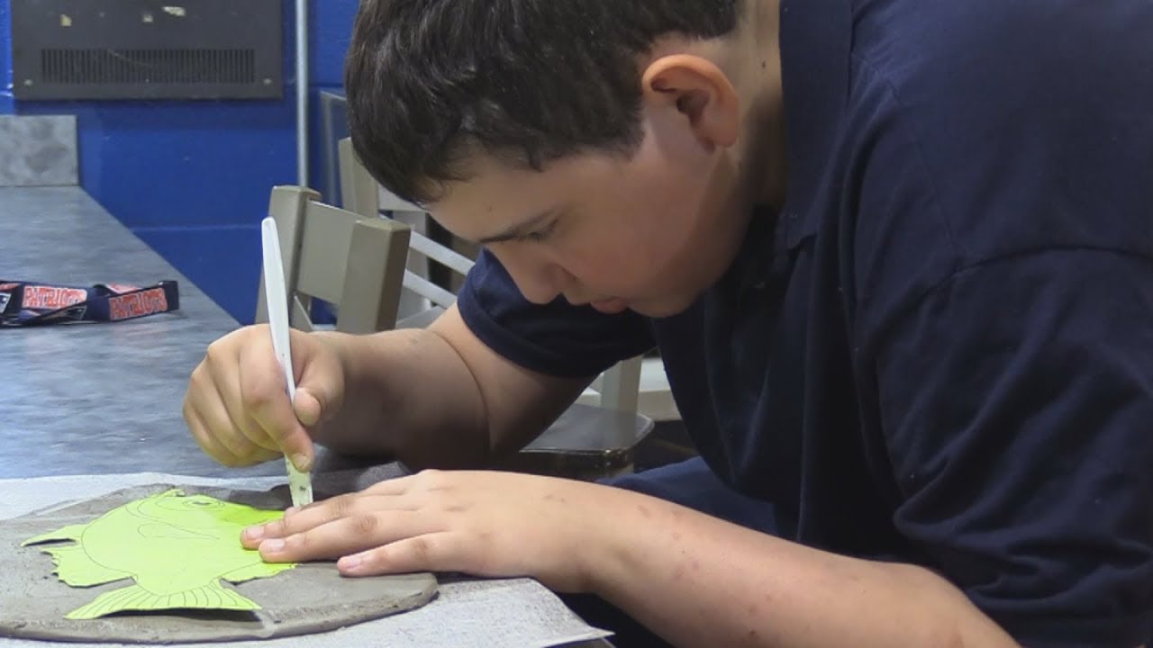 Visual Art Discovery Program