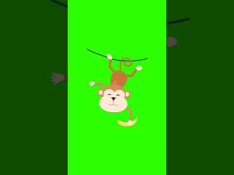 monkey chroma key free download HD quality