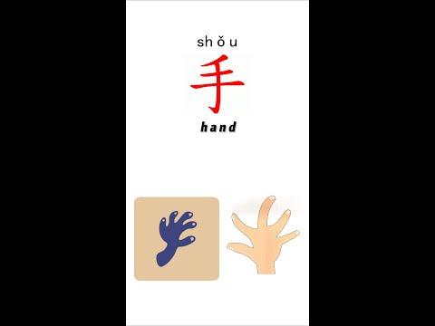 Learn one Chinese character every day. "手"#chinese #learnchinese #learnchineseonline 💯