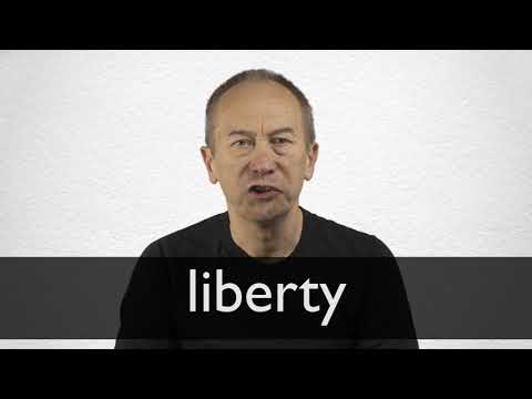 LIBERTY definition in American English | Collins English Dictionary