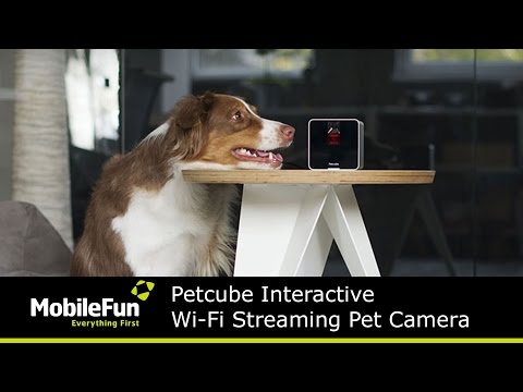 Petcube Interactive Wi-Fi Streaming Pet Camera