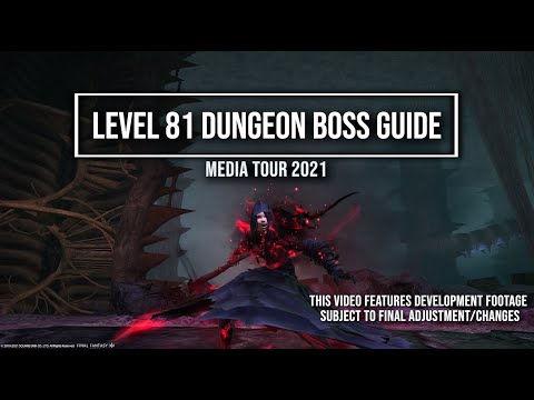 Steam Community :: Video :: FFXIV: Level 81 Dungeon Boss Guide - Media ...