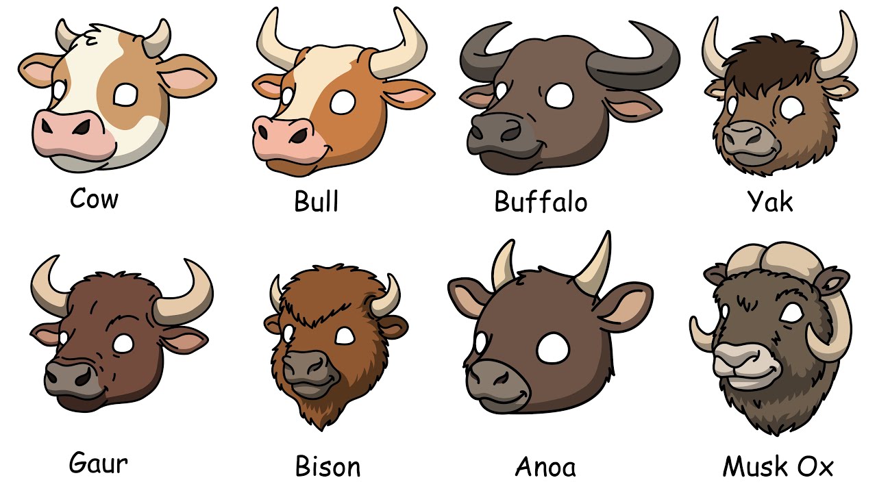 All Bovines Explained in 8 Minutes