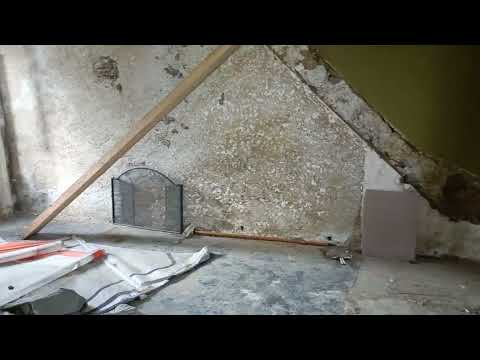 VID20230717104425