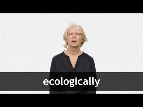 ECOLOGICALLY definition and meaning | Collins English Dictionary
