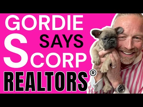 Example Saved $15,300! S-Corp Tax Savings for Realtor®️ Explained by CPA & Gordie the Frenchie