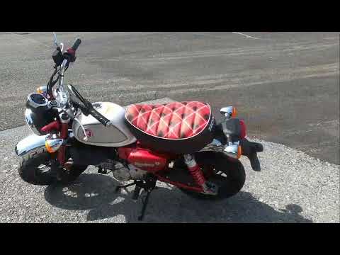 New 2024 Honda Monkey Motorcycle For Sale In Emmaus, PA