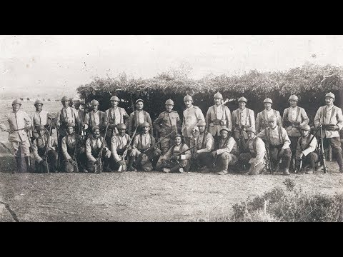 Пукни Зоро [Текст]