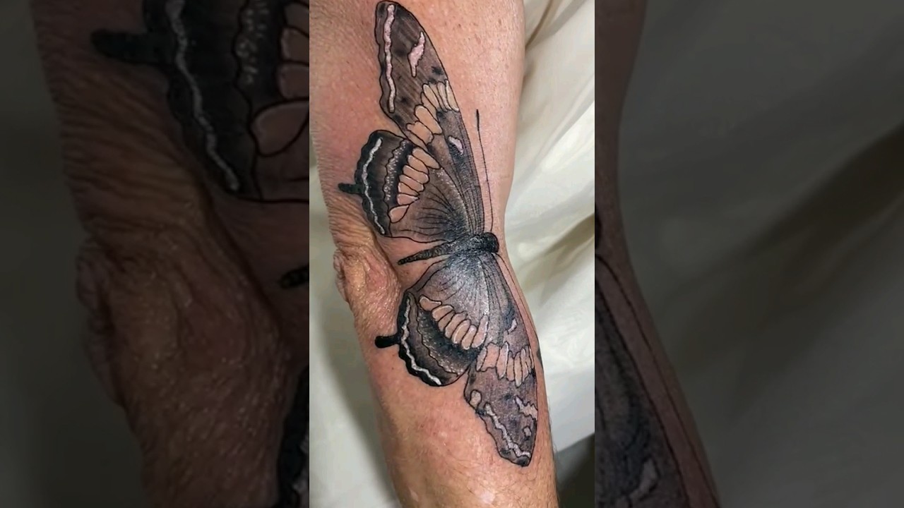 Tattoo de borboleta em movimento #tattoo #tattoofeminina #3d #tatuagem #tattooartist
