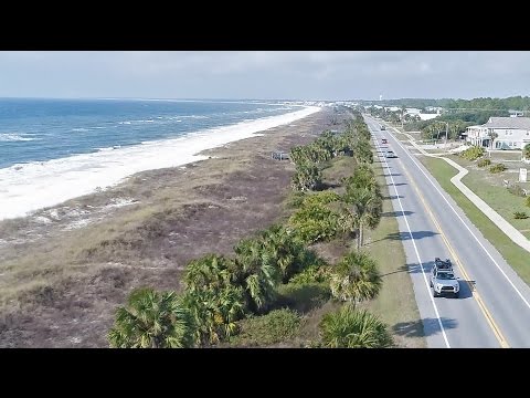 Overlanding in the Apalachicola National Forest