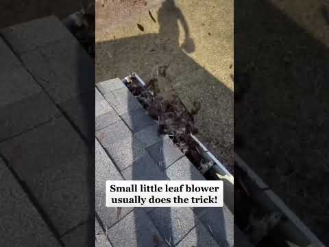 Gutter Cleaning 🌟