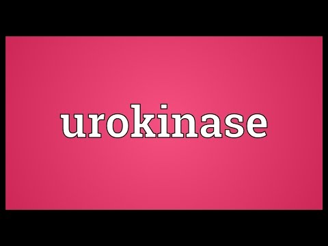Urokinase Meaning