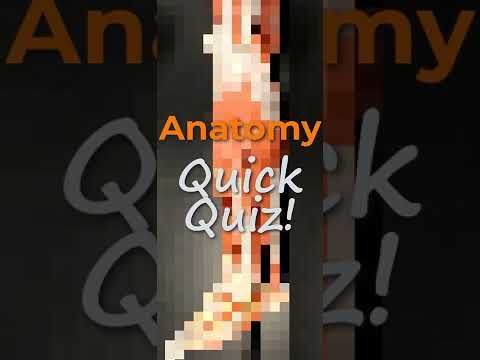 Distal Leg Anatomy Part 1 (with special guest!)