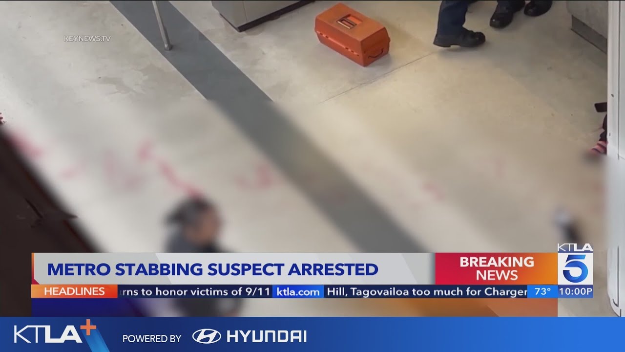 Metro fatal stabbing suspect arrested