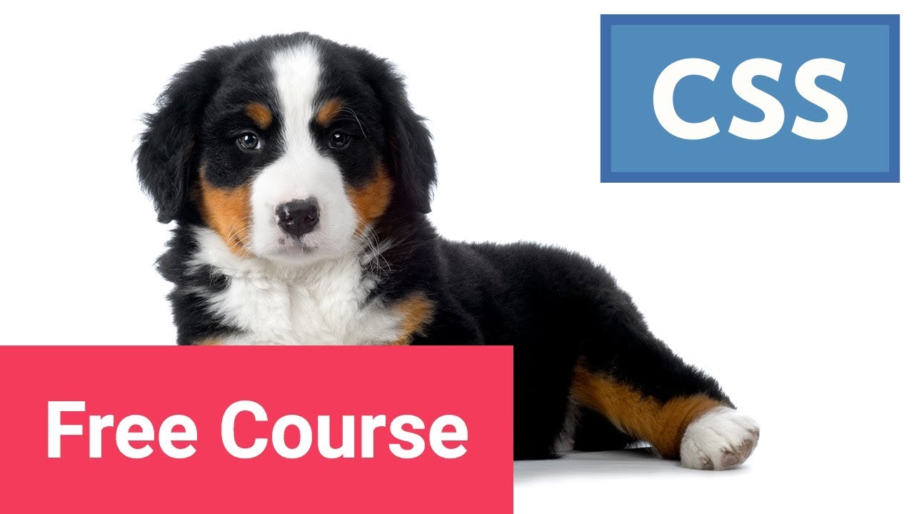 Learn CSS Colors and Backgrounds