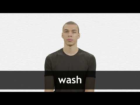 WASH 释义 | 柯林斯英语词典