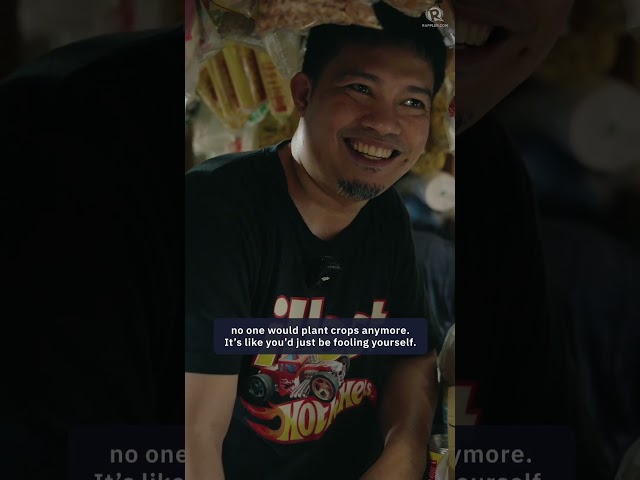 EKONOMI-YUH: Why P20/kilo rice remains impossible