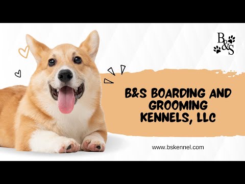 B&S Boarding and Grooming Kennels, LLC - Dog Boarding Avon, IN | Dog Grooming | Dog Kennels