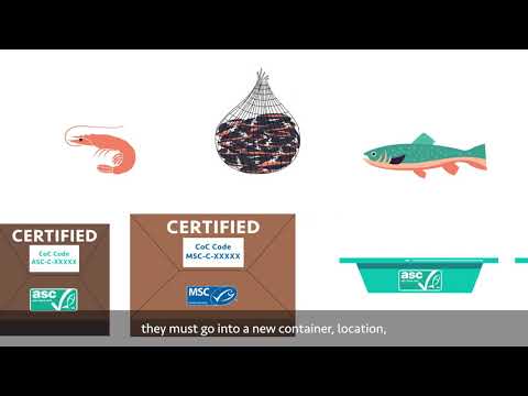Fish Counters - Chain of Custody Training | Marine Stewardship Council