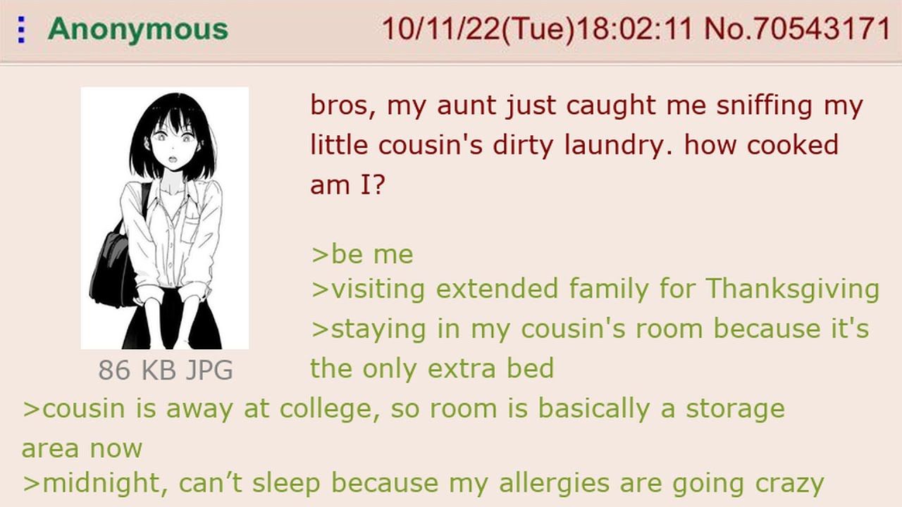 Anon gets caught red handed ─ 4Chan Greentext Stories