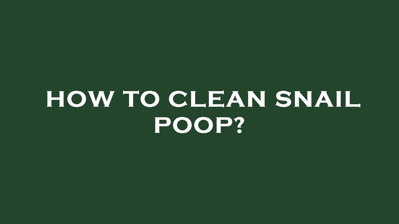 How to clean snail poop?