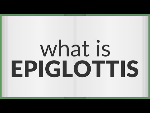 Epiglottis | meaning of Epiglottis